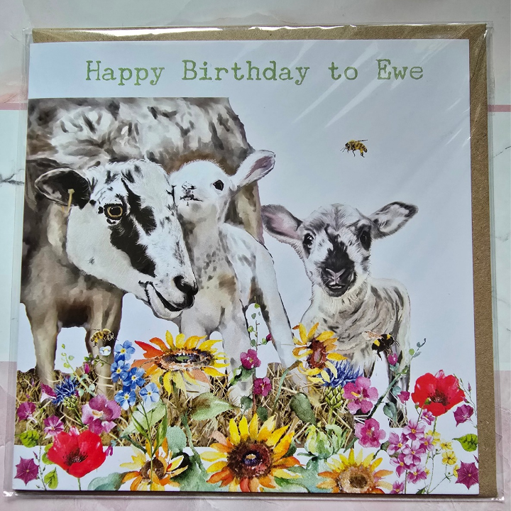 Happy Birthday To Ewe Card – Donna's Gift Emporium
